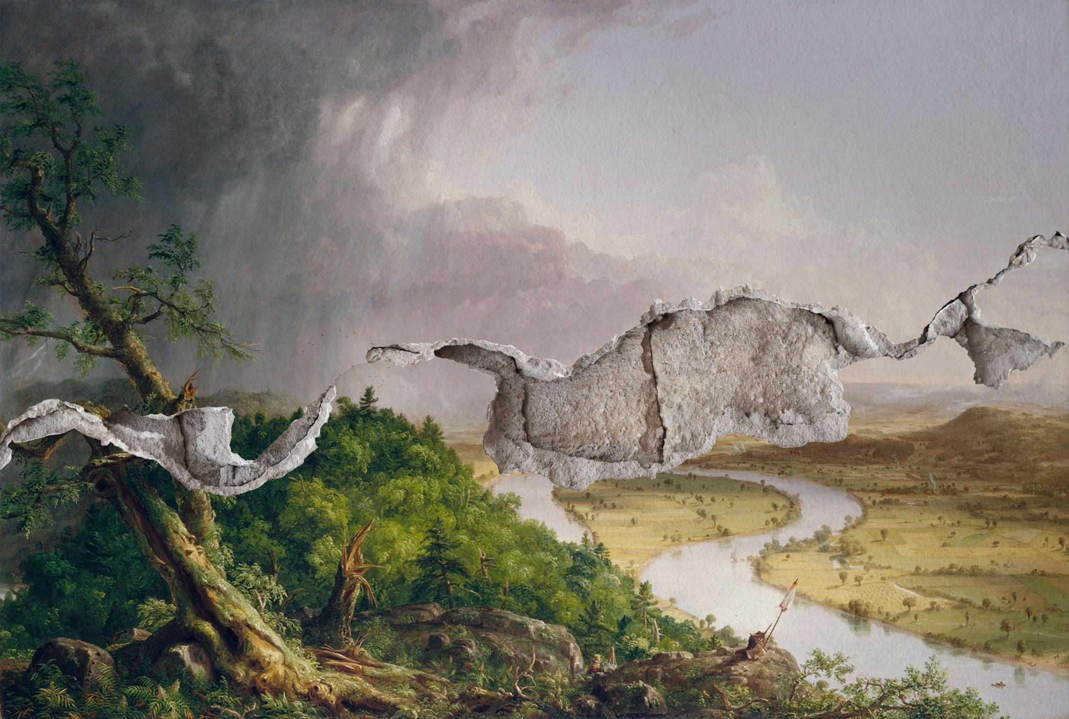 The New Landscape