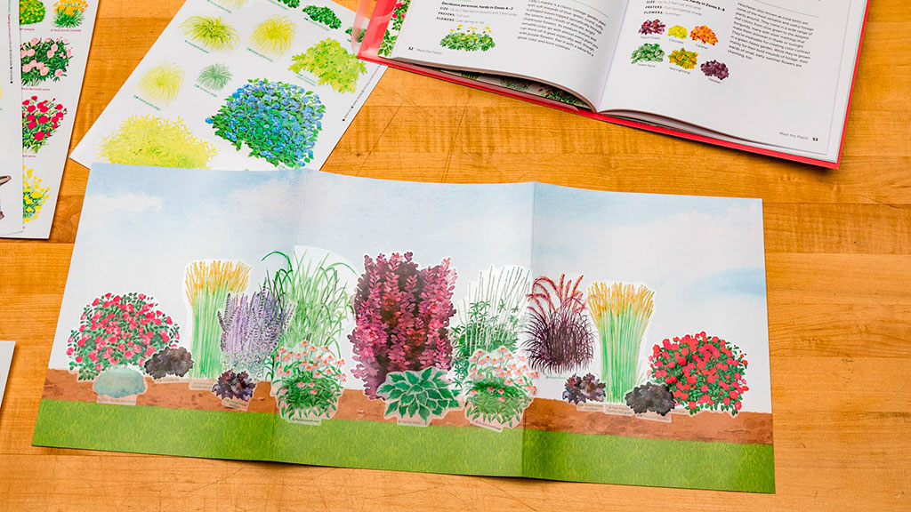 How Does Your Garden Grow?