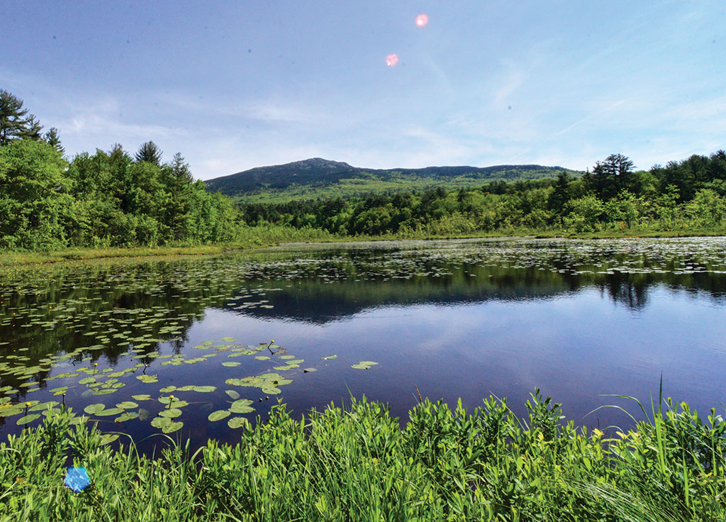 In the shadow of Mount Monadnock