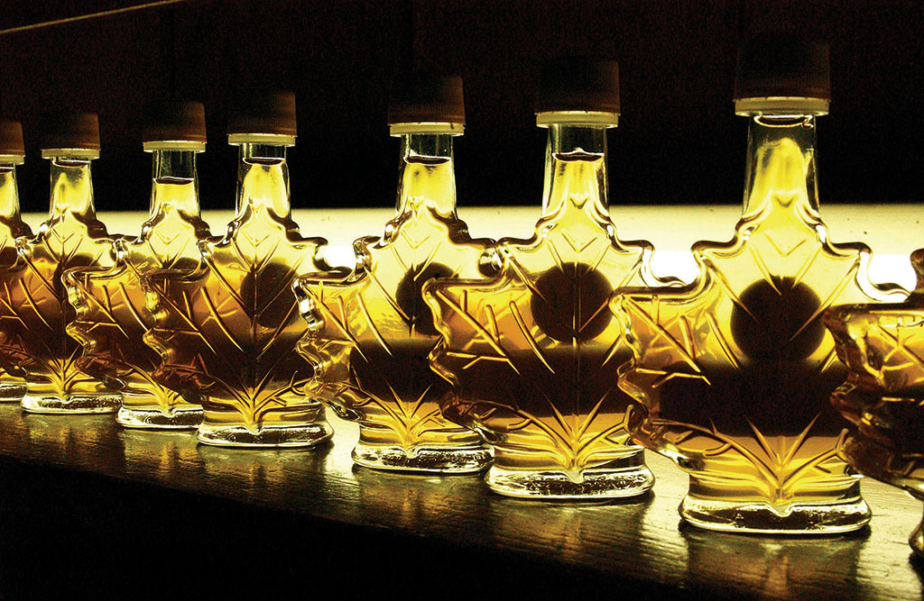 How to be a backyard maple buff