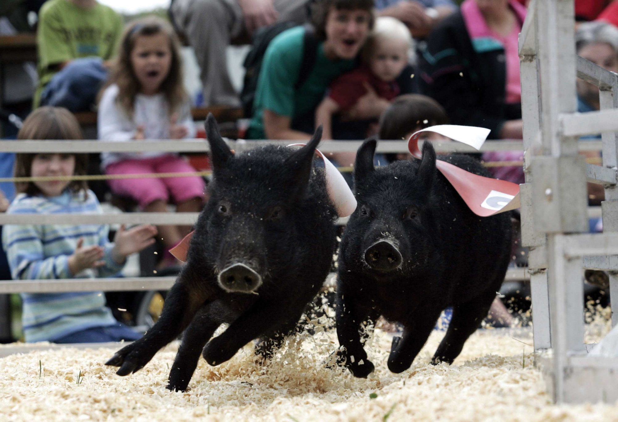 10 fairs you don’t want to miss
