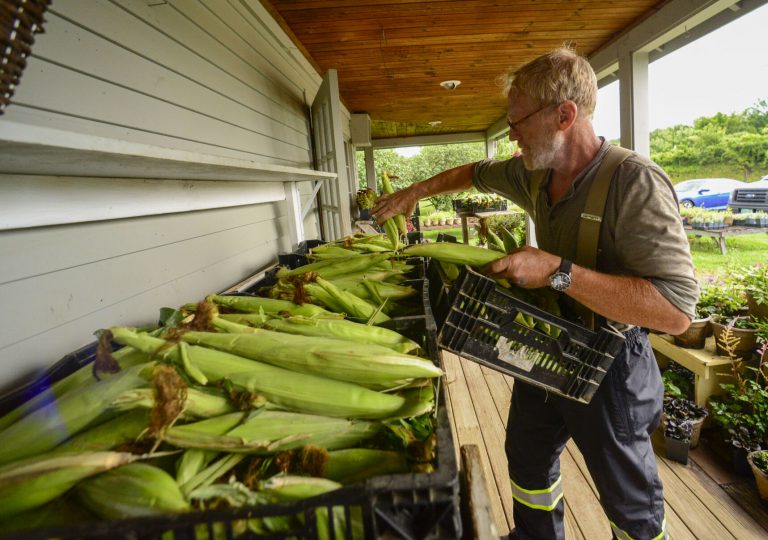 Vermont Farm Stands and the Harlow Farm Legacy