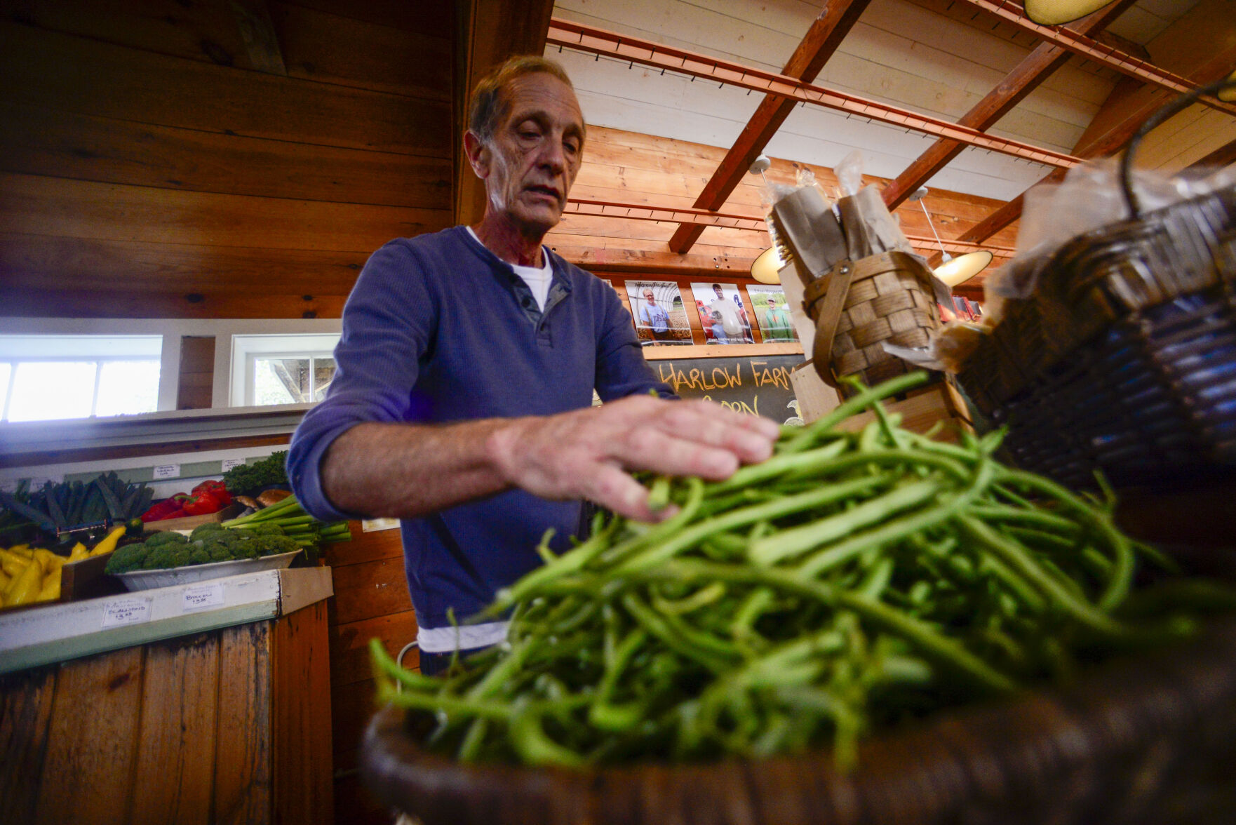 Vermont Farm Stands and the Harlow Farm Legacy