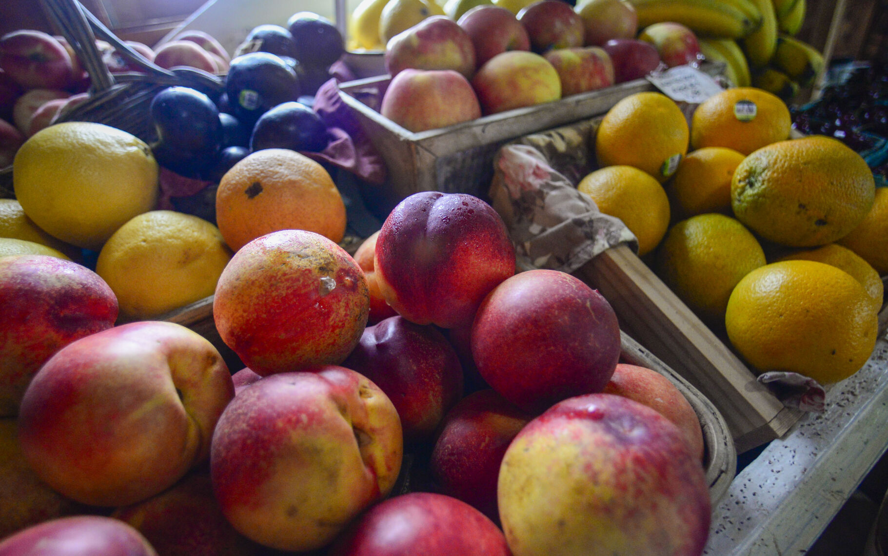 Vermont Farm Stands and the Harlow Farm Legacy