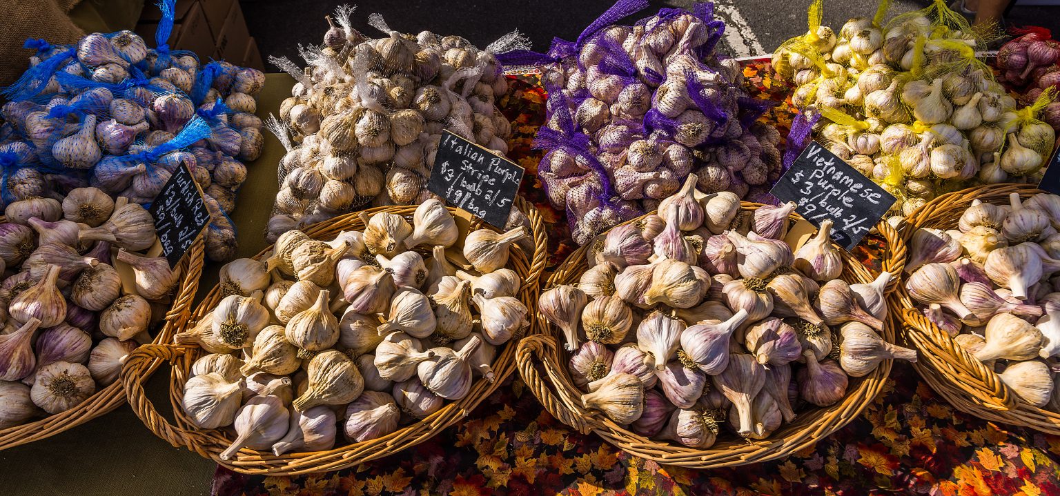 Garlic Town USA, The Wonkaland of Garlic: Vermont's Premier Garlic ...