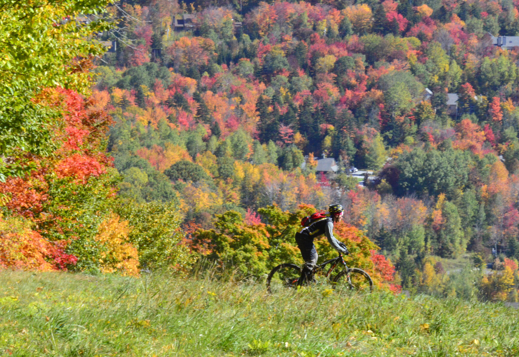 Fall in Vermont: festivals, foliage, and fresh cider await