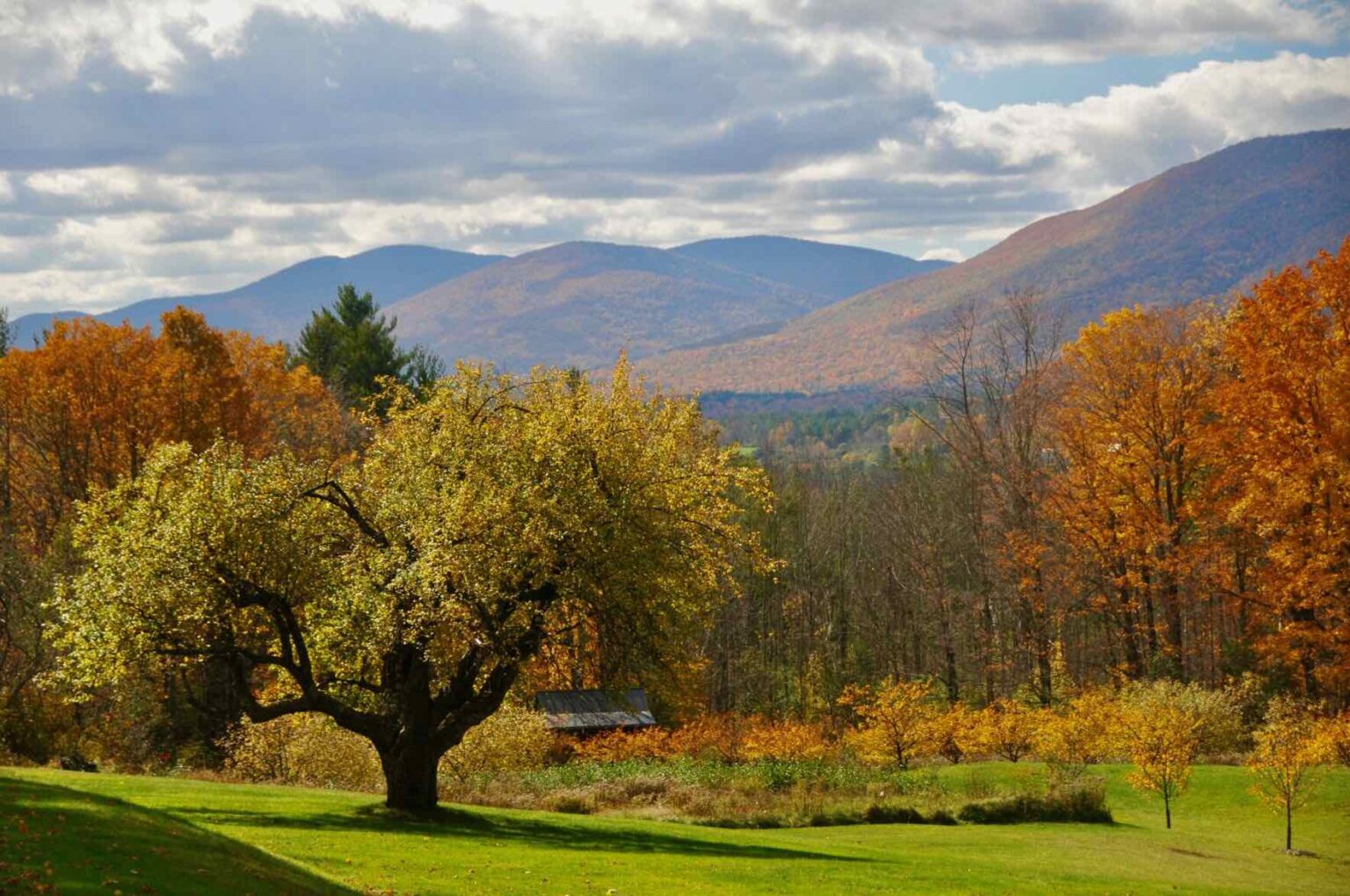Fire in the skies: The autumn blaze that is Vermont