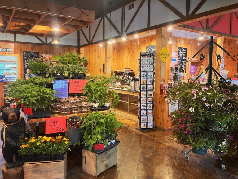 A Taste of Vermont, Straight from The Apple Barn