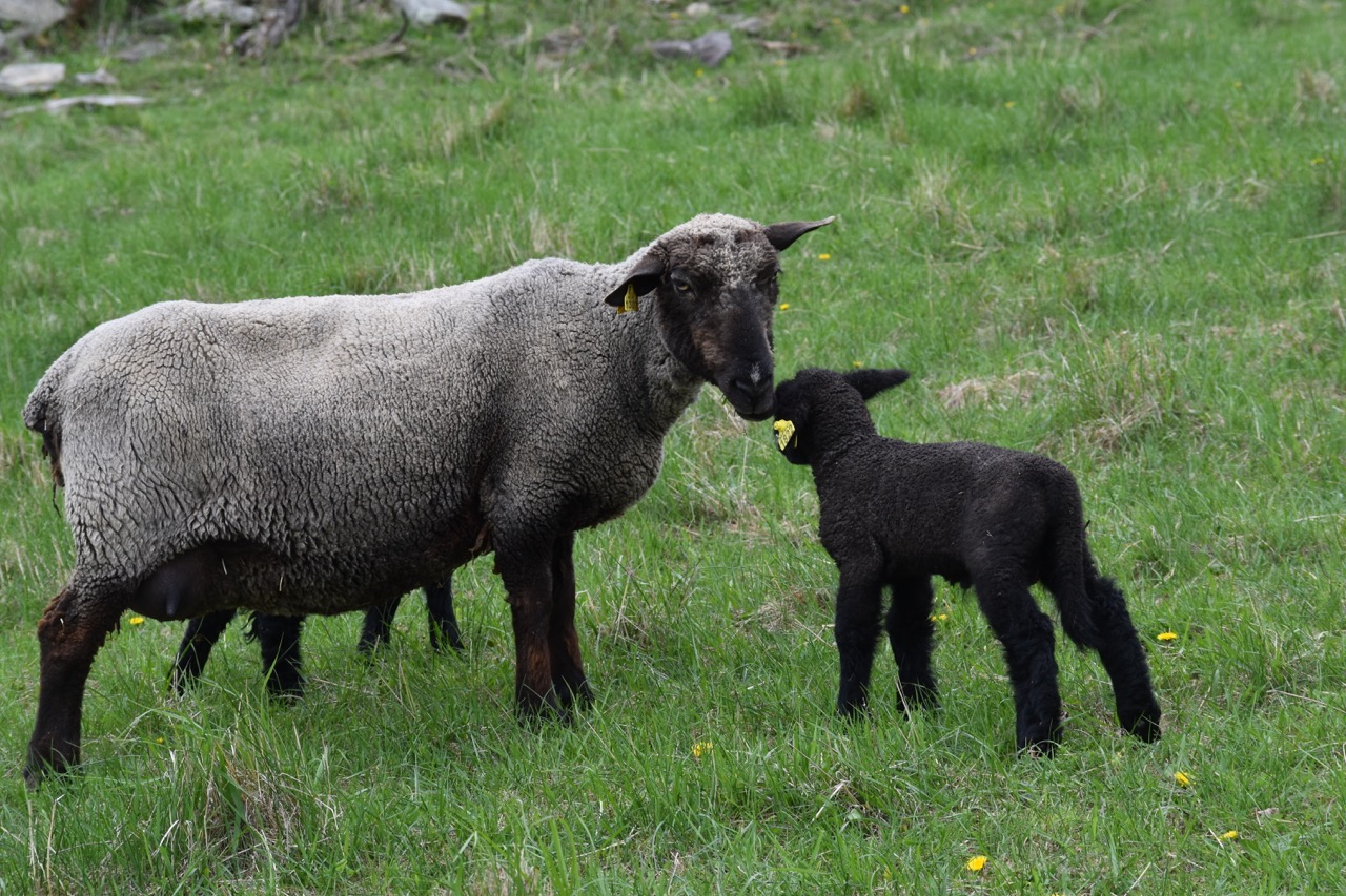 Merck Forest and Farmland Center: A place to get away from it all