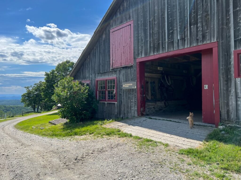 Merck Forest and Farmland Center: A place to get away from it all