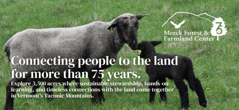 Merck Forest and Farmland Center: A place to get away from it all