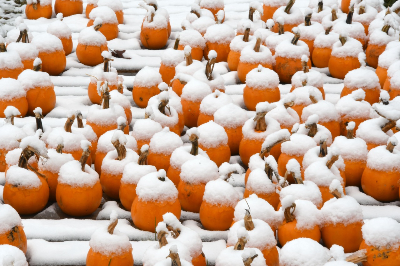 Holiday Shopping Guide in Bennington Vermont
